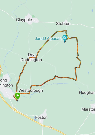 A 10-mile circular walk from Long Bennington and a visit to see Alpaca ...