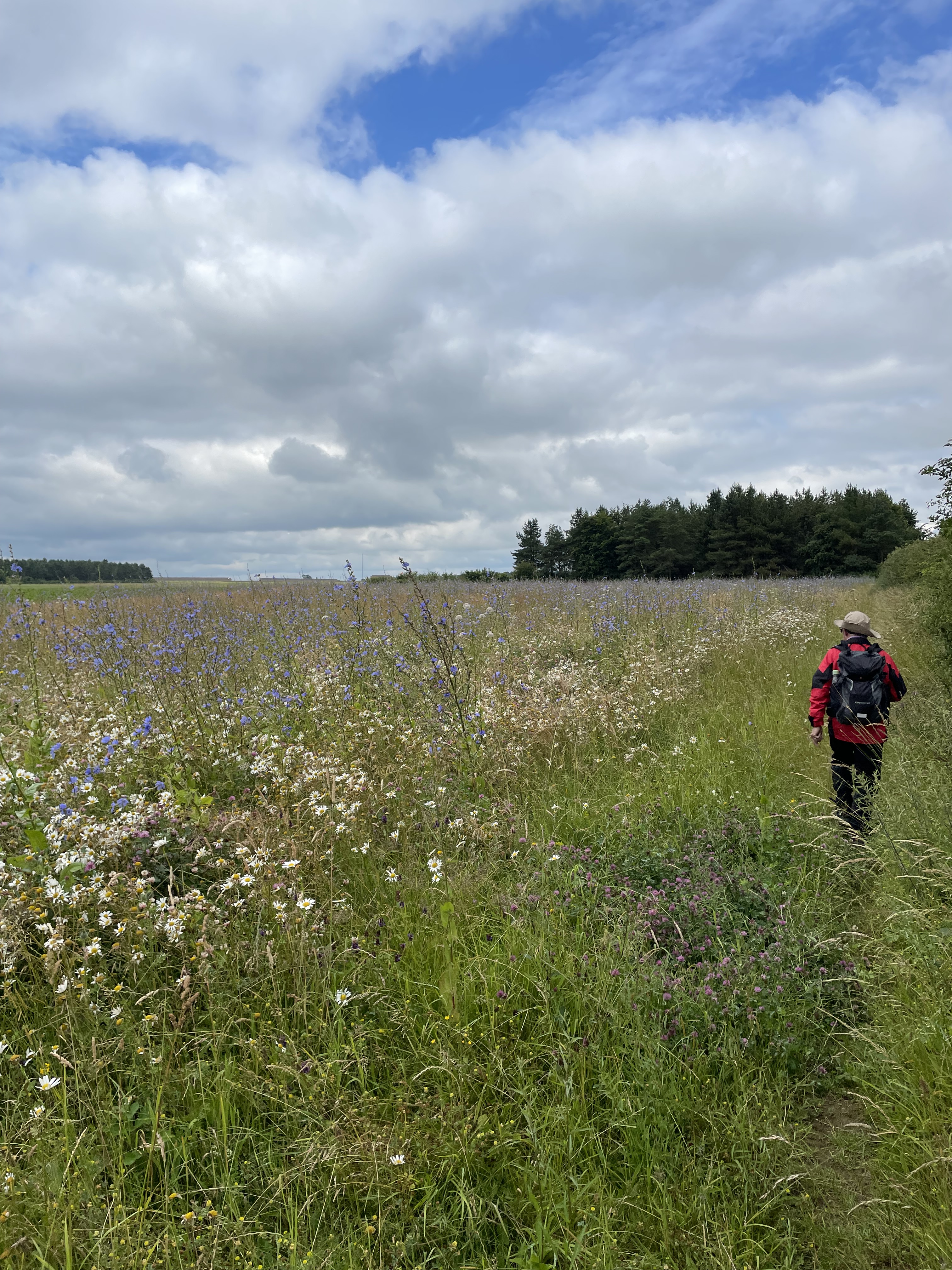 Skillington Circular Walk: Historic Saltby Airfield and Scenic ...