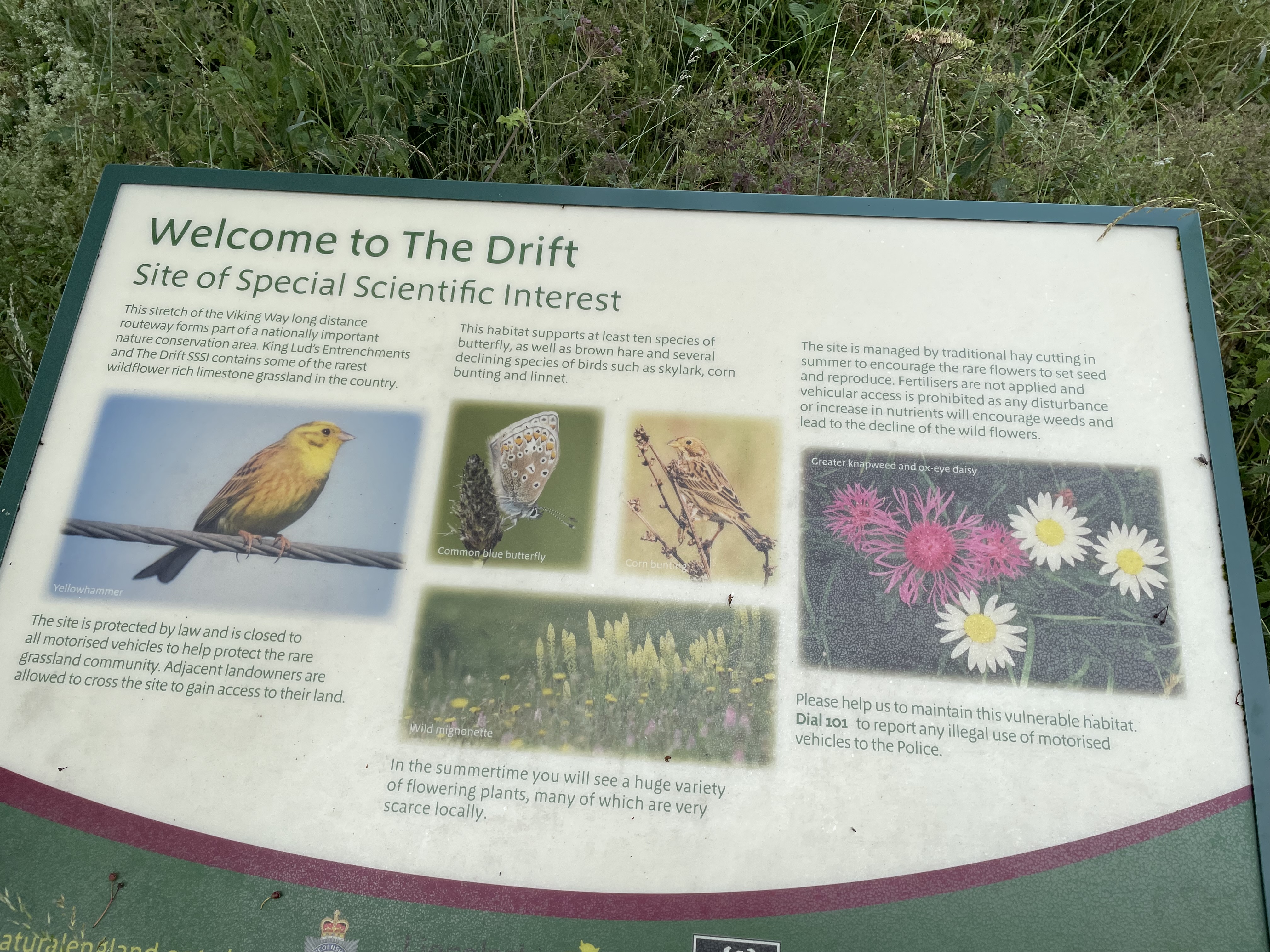 Skillington Circular Walk: Historic Saltby Airfield and Scenic ...