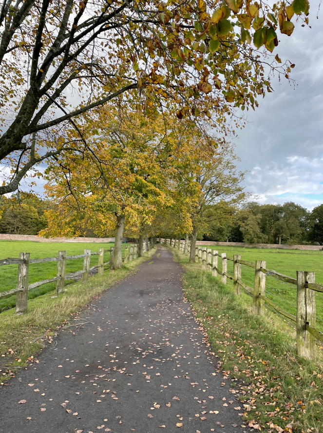 Enjoying a Scenic 7-Mile Walk on the Bridgewater Canal – My Walking ...