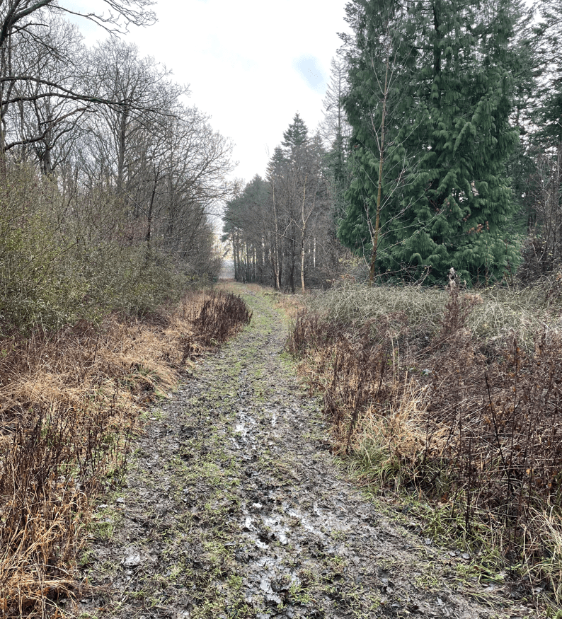 A Beautiful Circular Walk Through Rospley and Beyond – My Walking Journeys